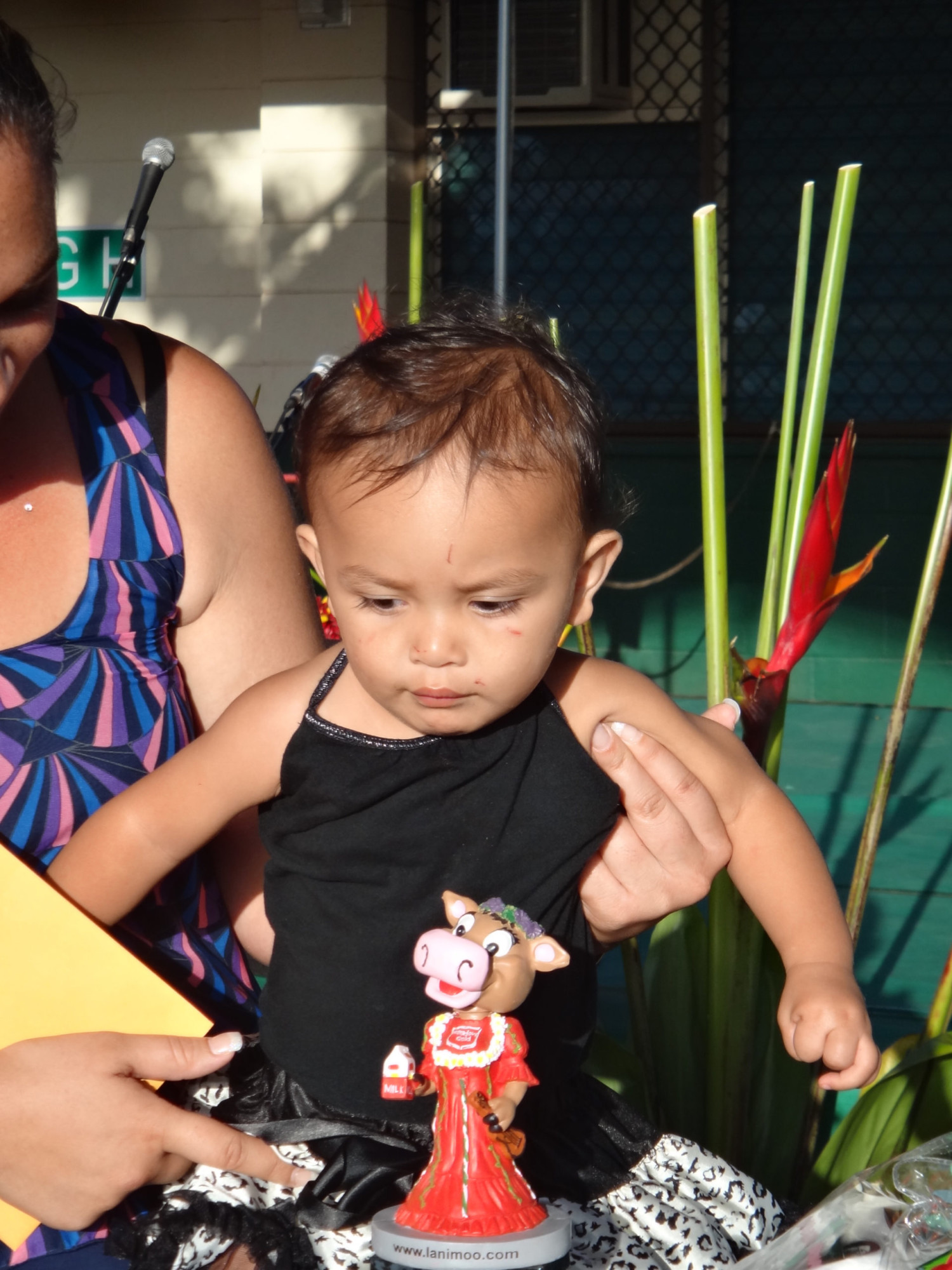 Healthy Babies 2012 | The Molokai Dispatch