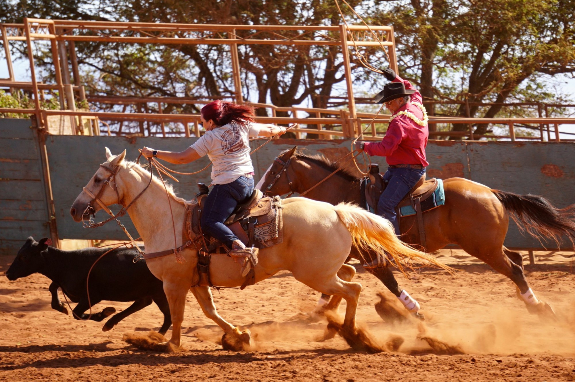 Rodeo Celebrates Paniolo Heritage | The Molokai Dispatch