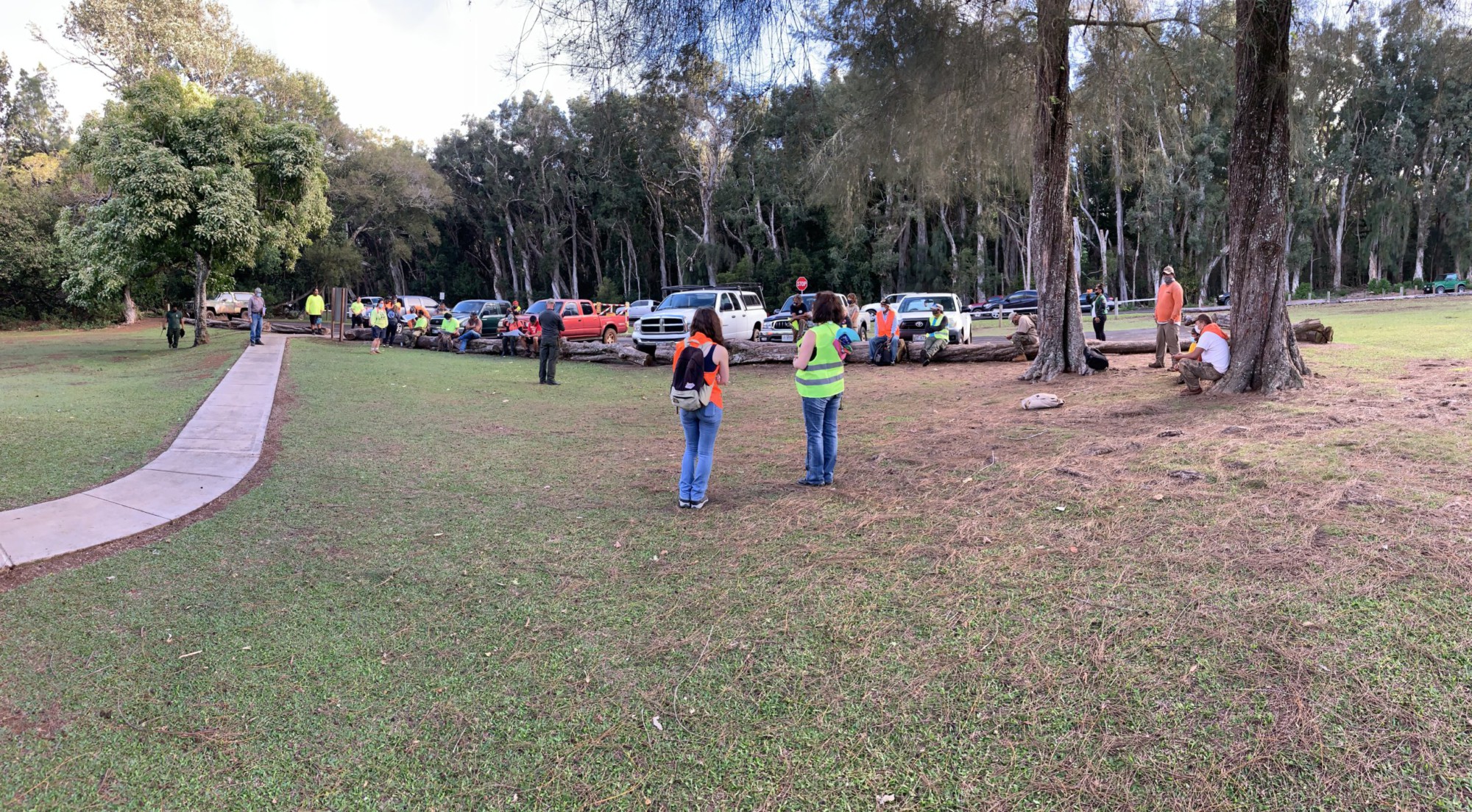 Volunteers Search for Missing Woman | The Molokai Dispatch