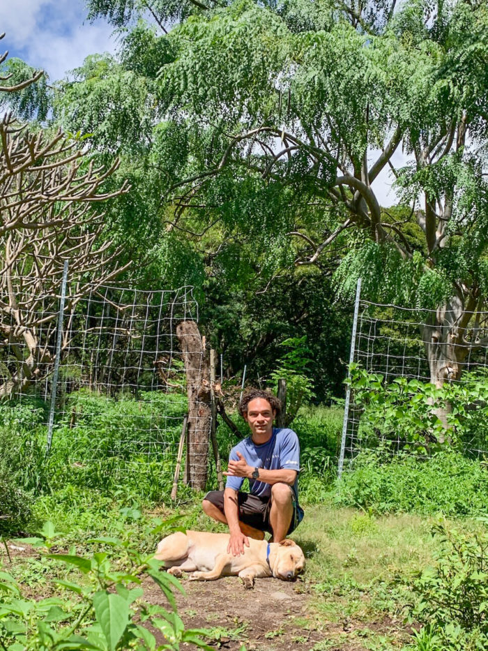 Local Farmer Launches Chicken Feed Experiment | The Molokai Dispatch