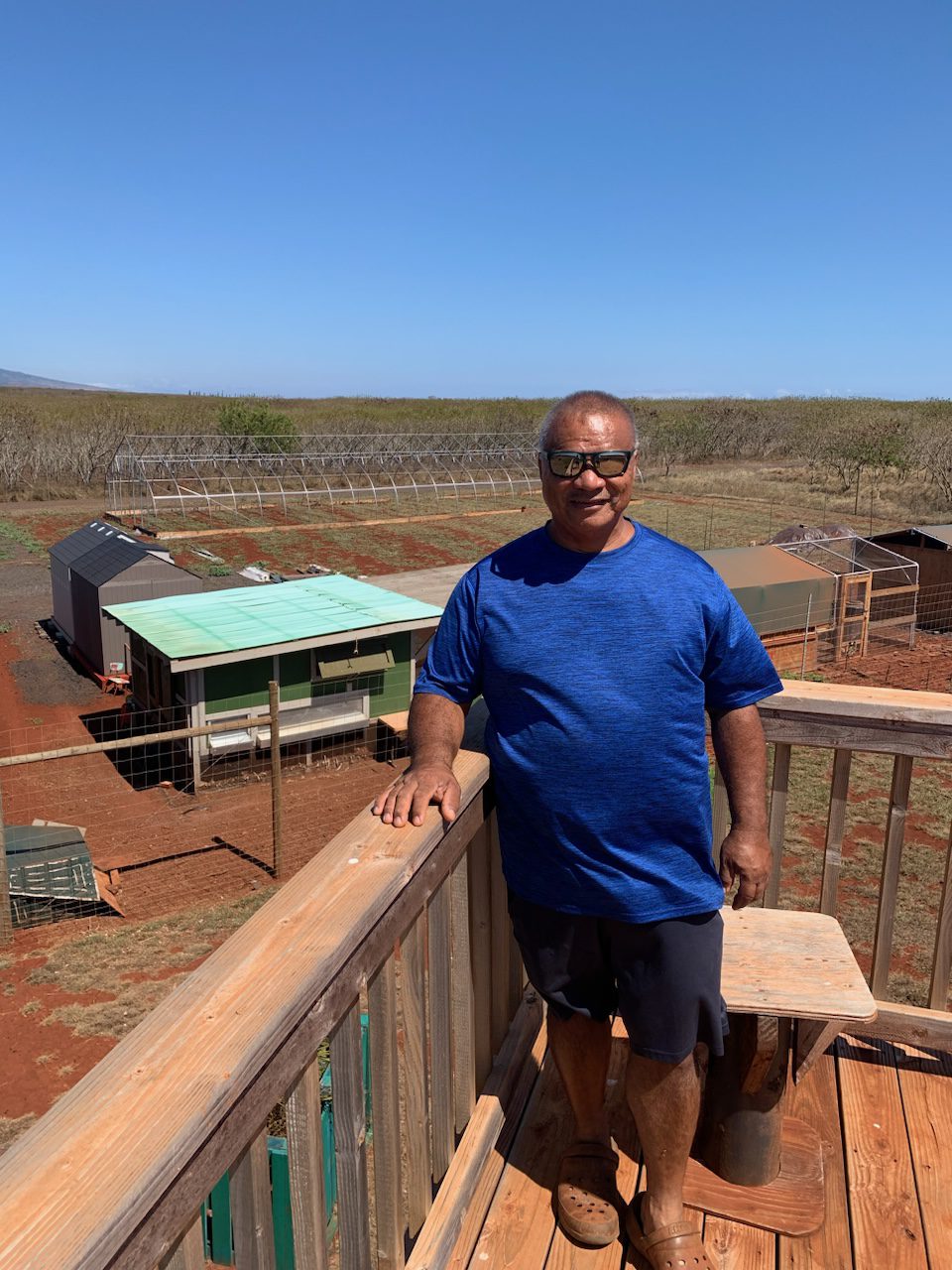 Kamakani Farms: Salt, Chickens, Tomatoes—and Wind | The Molokai Dispatch