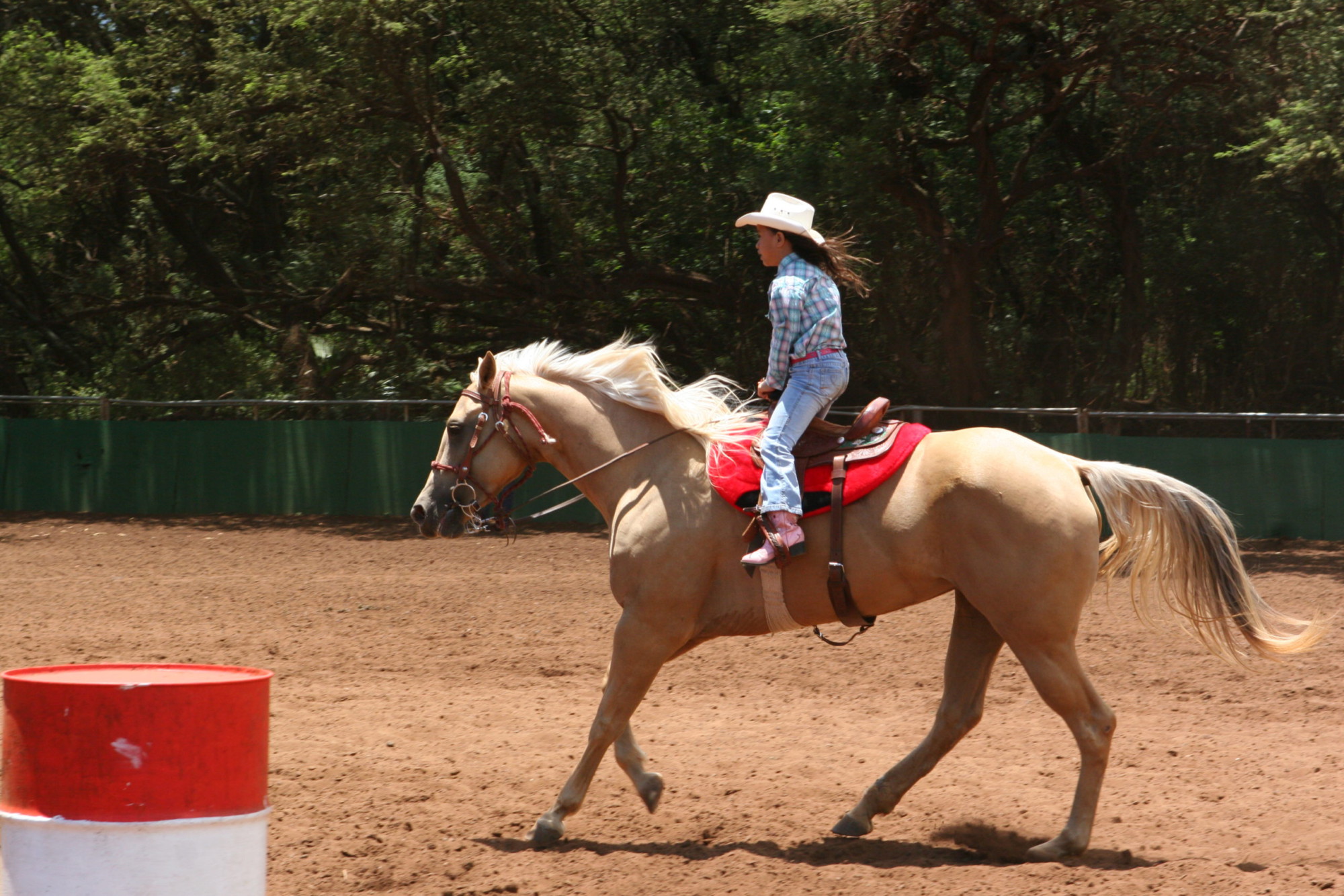 Taking the Paniolo Tradition by Stampede | The Molokai Dispatch