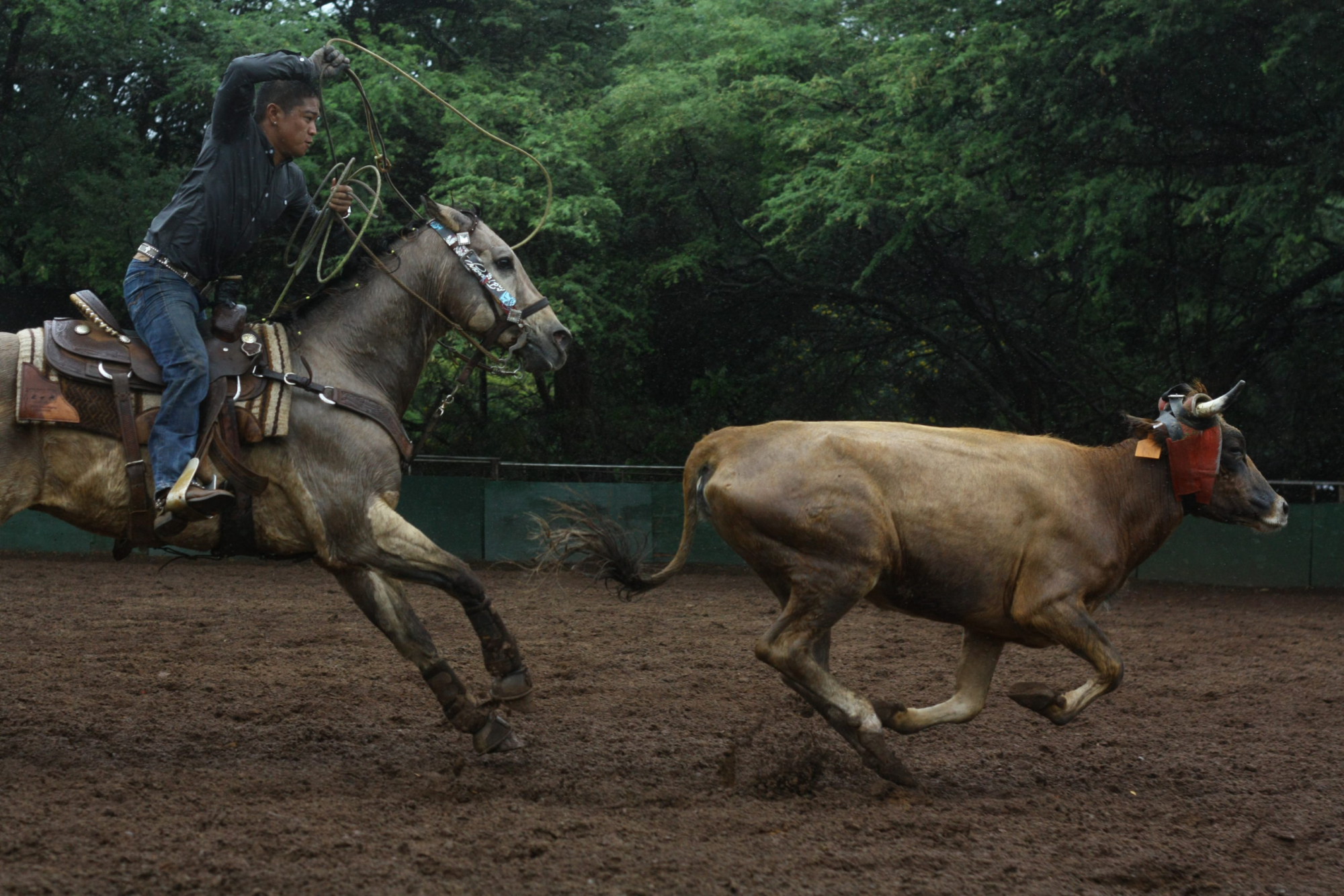 Ropin’ in the Rain | The Molokai Dispatch