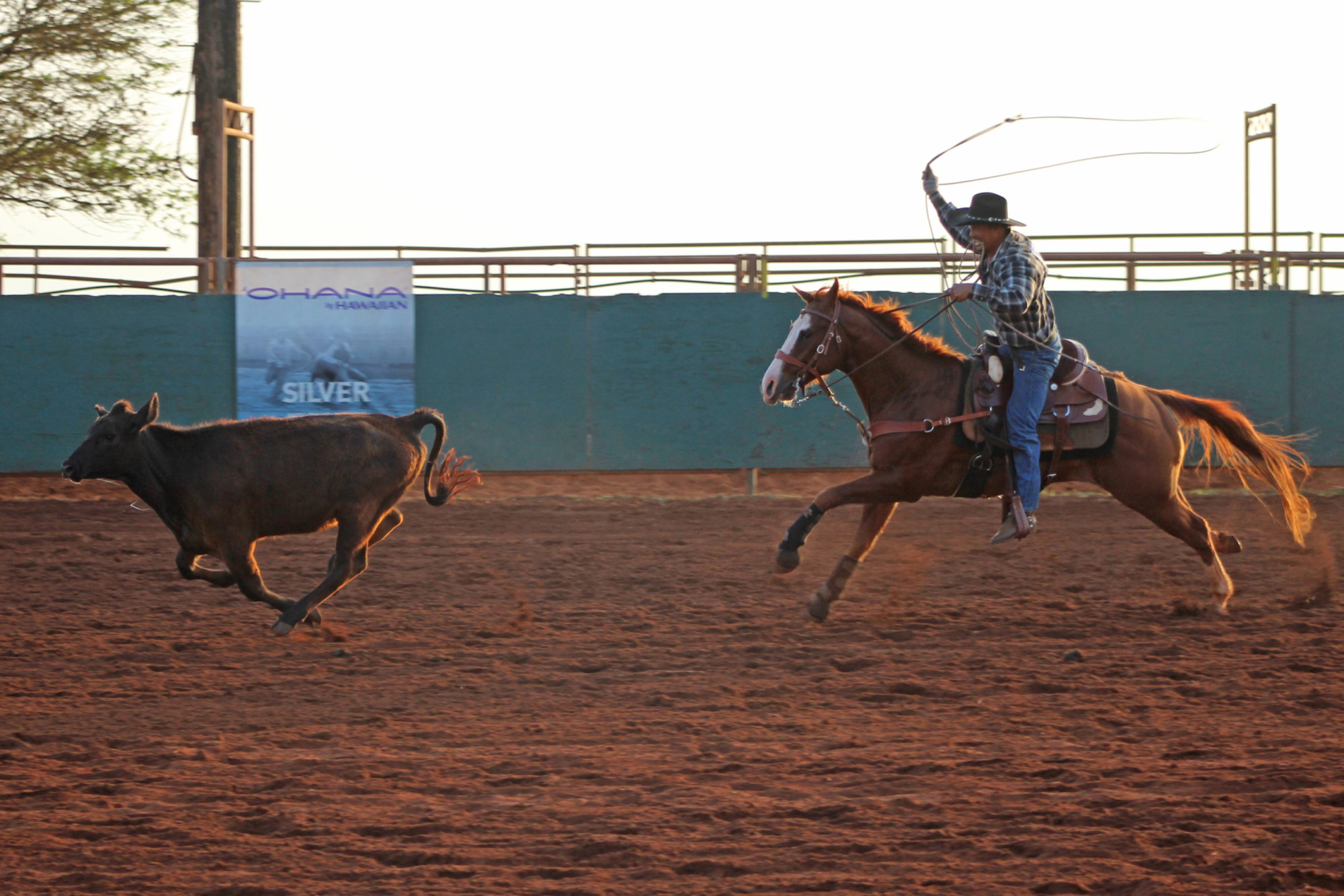 Wild West End: Molokai Ranch Heritage Rodeo | The Molokai Dispatch