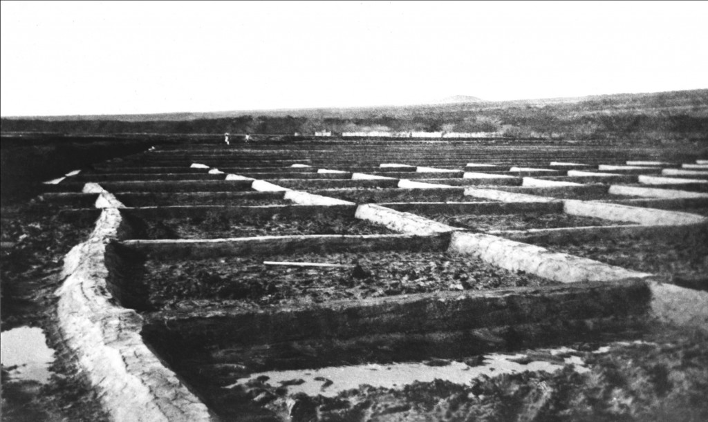 Centuries of Molokai Pa`akai | The Molokai Dispatch