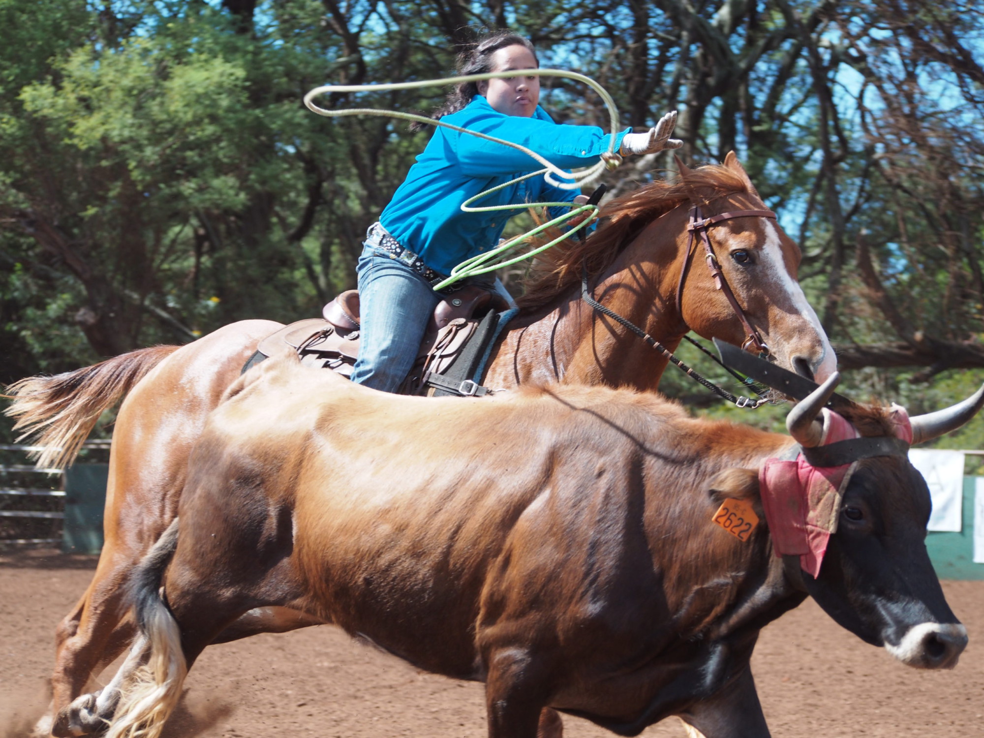 Stampede Rodeo | The Molokai Dispatch