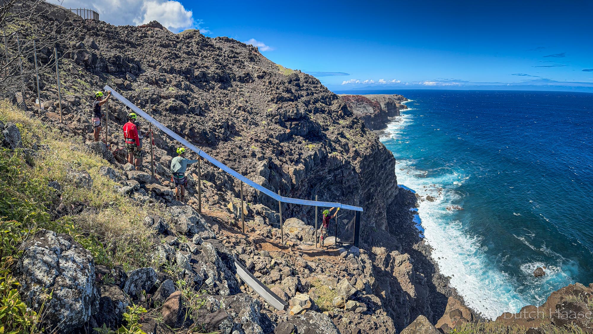 Promising Signs for Native Species Recovery in Mokio | The Molokai Dispatch