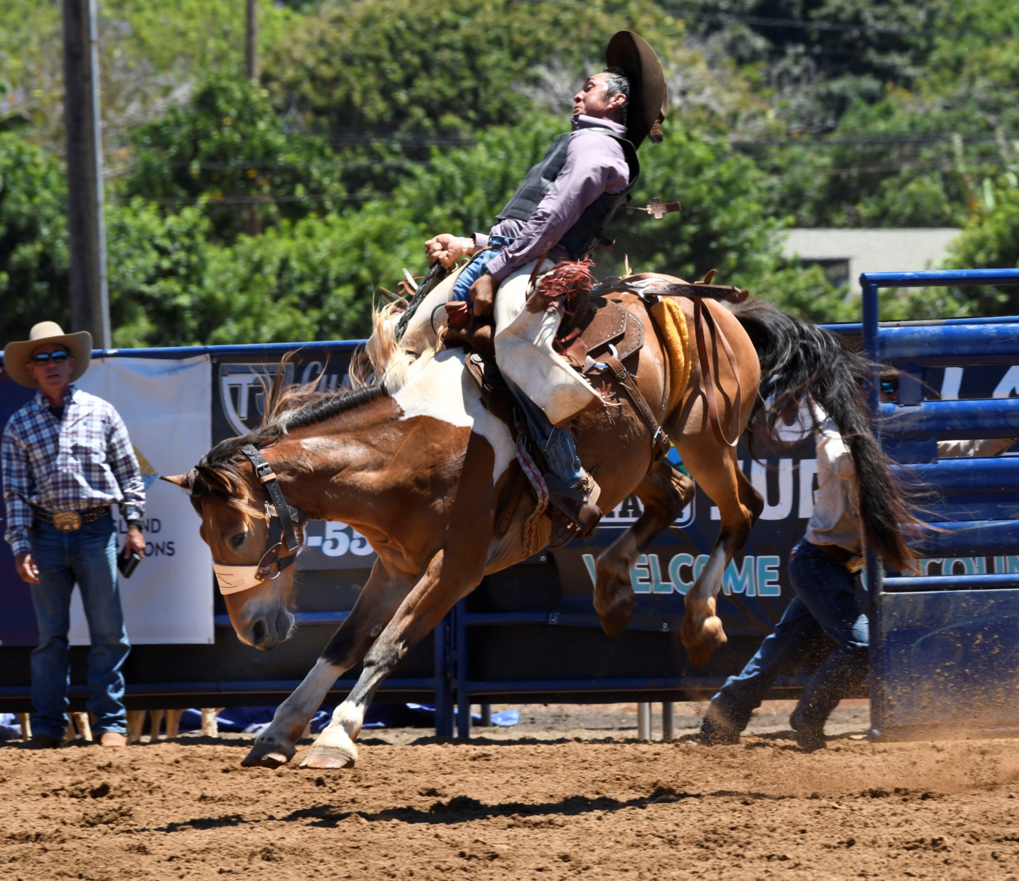 Molokai Wins at Makawao Rodeo | The Molokai Dispatch