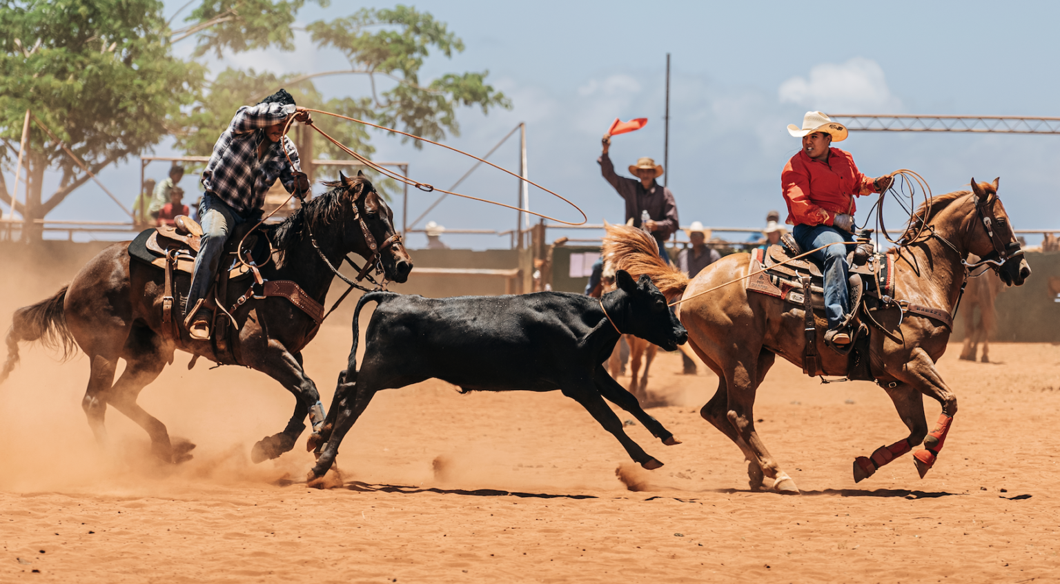 Celebrating Paniolo Heritage | The Molokai Dispatch