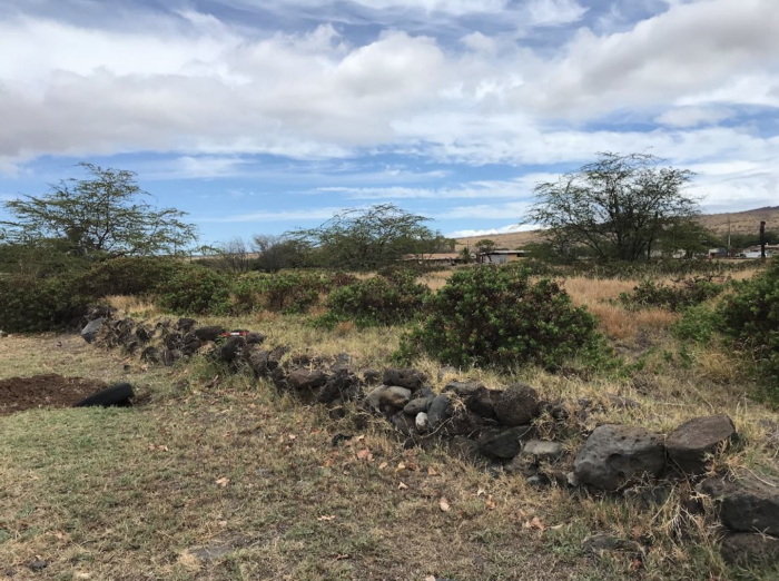 A Plan for Malama Park | The Molokai Dispatch