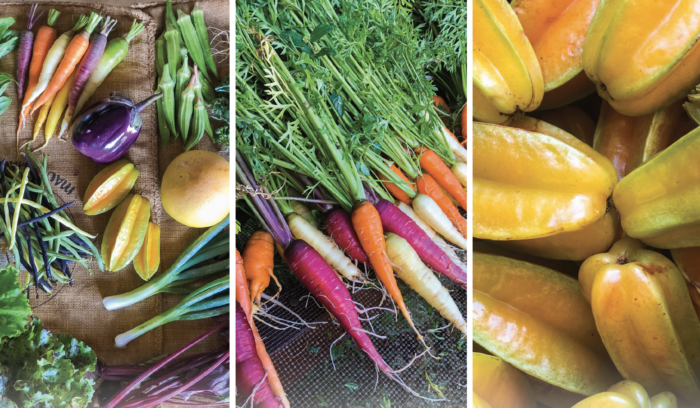 Program Brings Local Food to Kupuna | The Molokai Dispatch