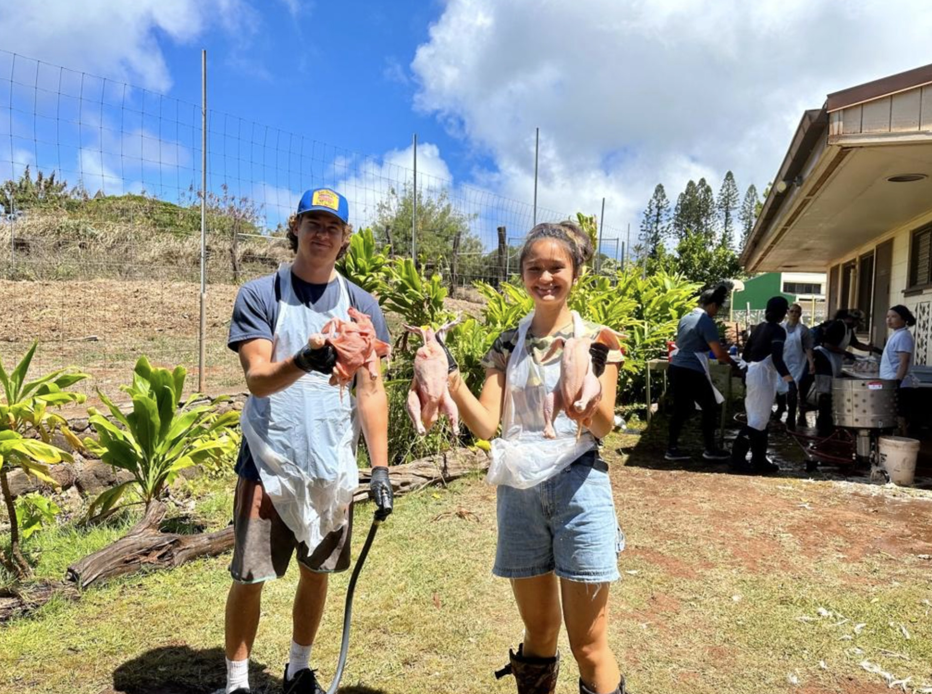 Mahi’ai Moa Project Enters Final Phases | The Molokai Dispatch